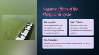 Nitrogen , sulphur, phosphorus cycle PPT PDF.pdf