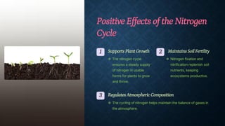 Nitrogen , sulphur, phosphorus cycle PPT PDF.pdf