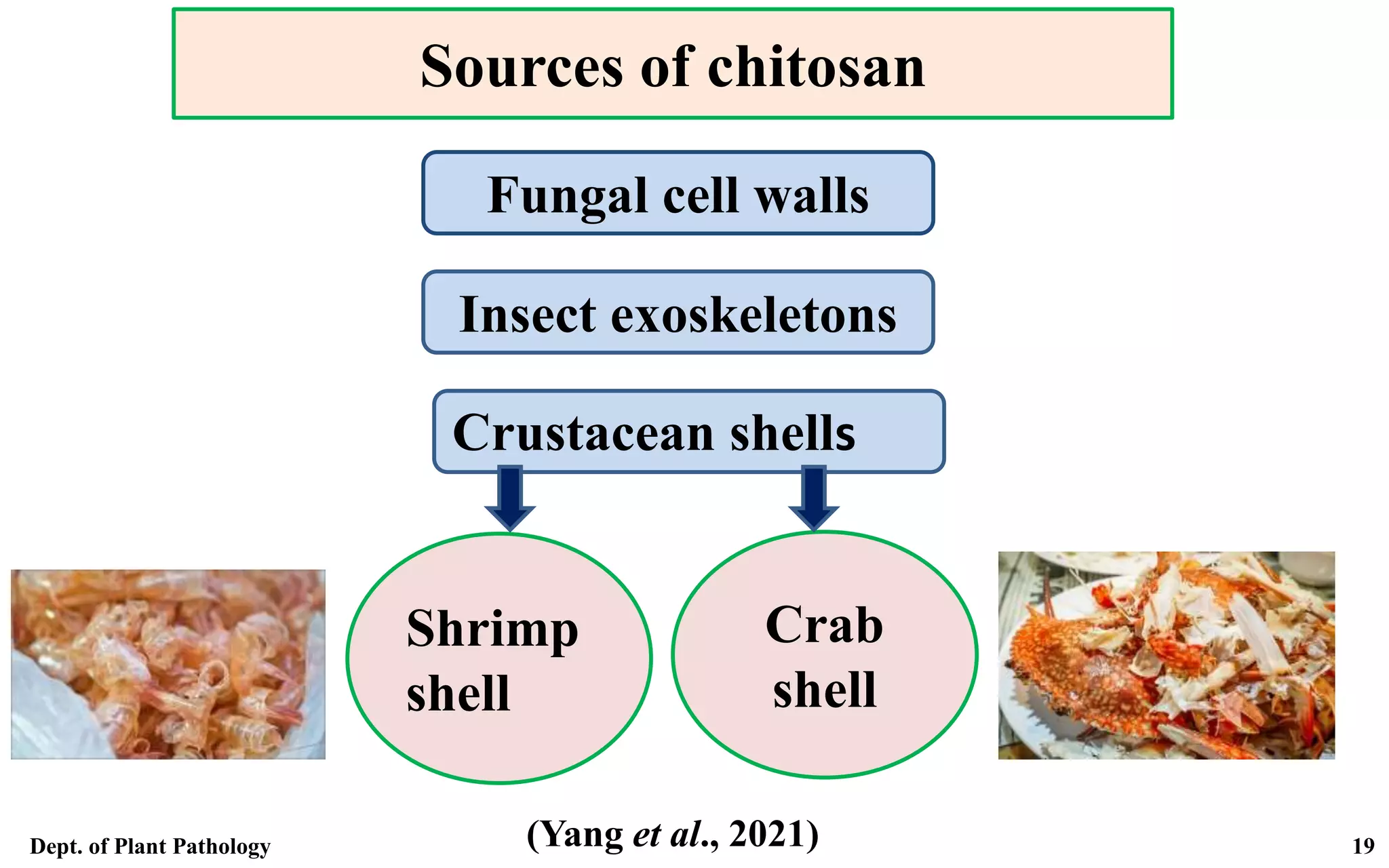 Role of chitosan in Post Harvest Disease Management | PPTX