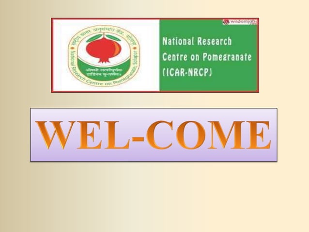 Final ppt project and tour | PPT