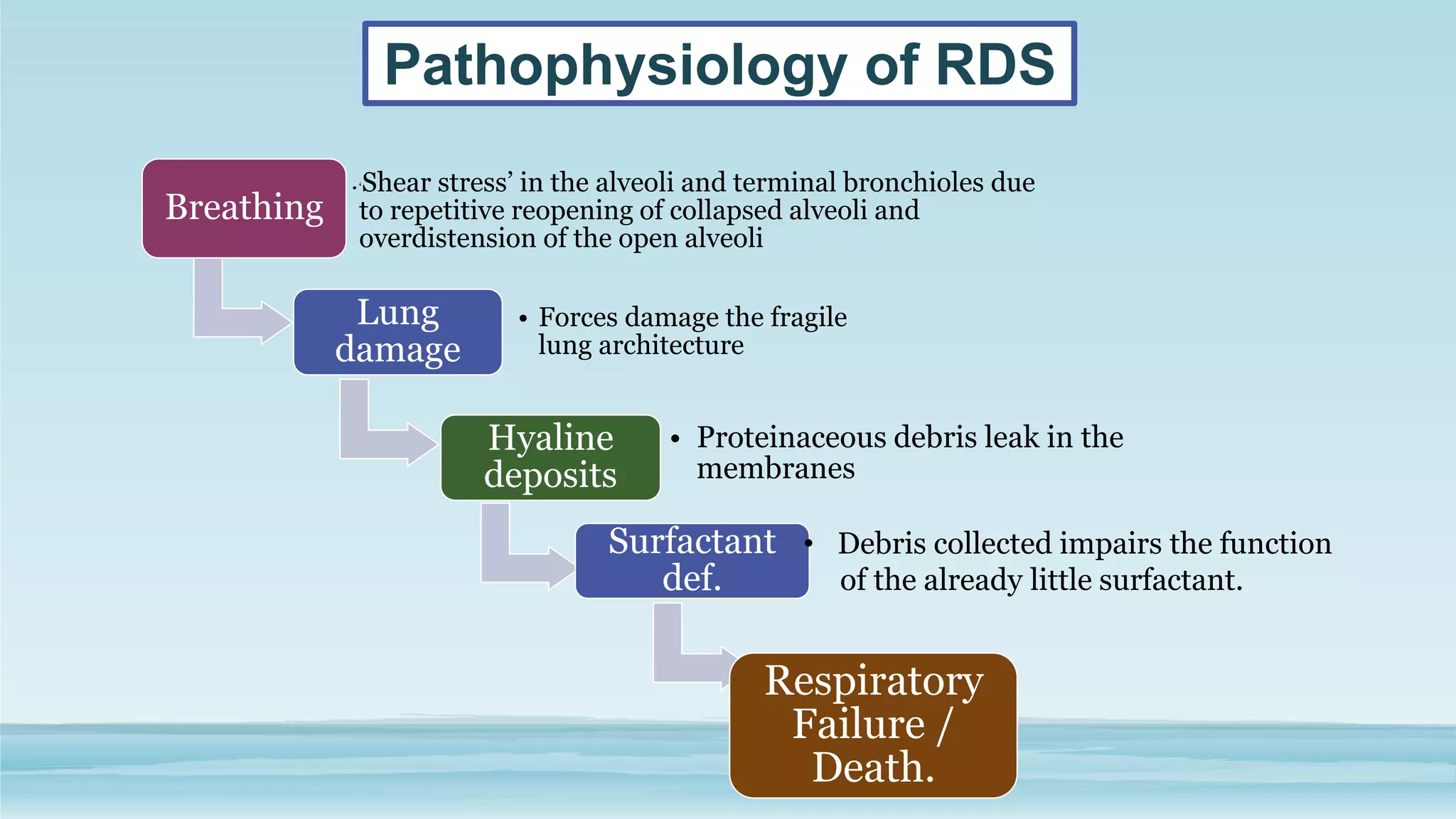 Respiratory physiology & Respiratory Distress syndrome in a newborn. | PPSX