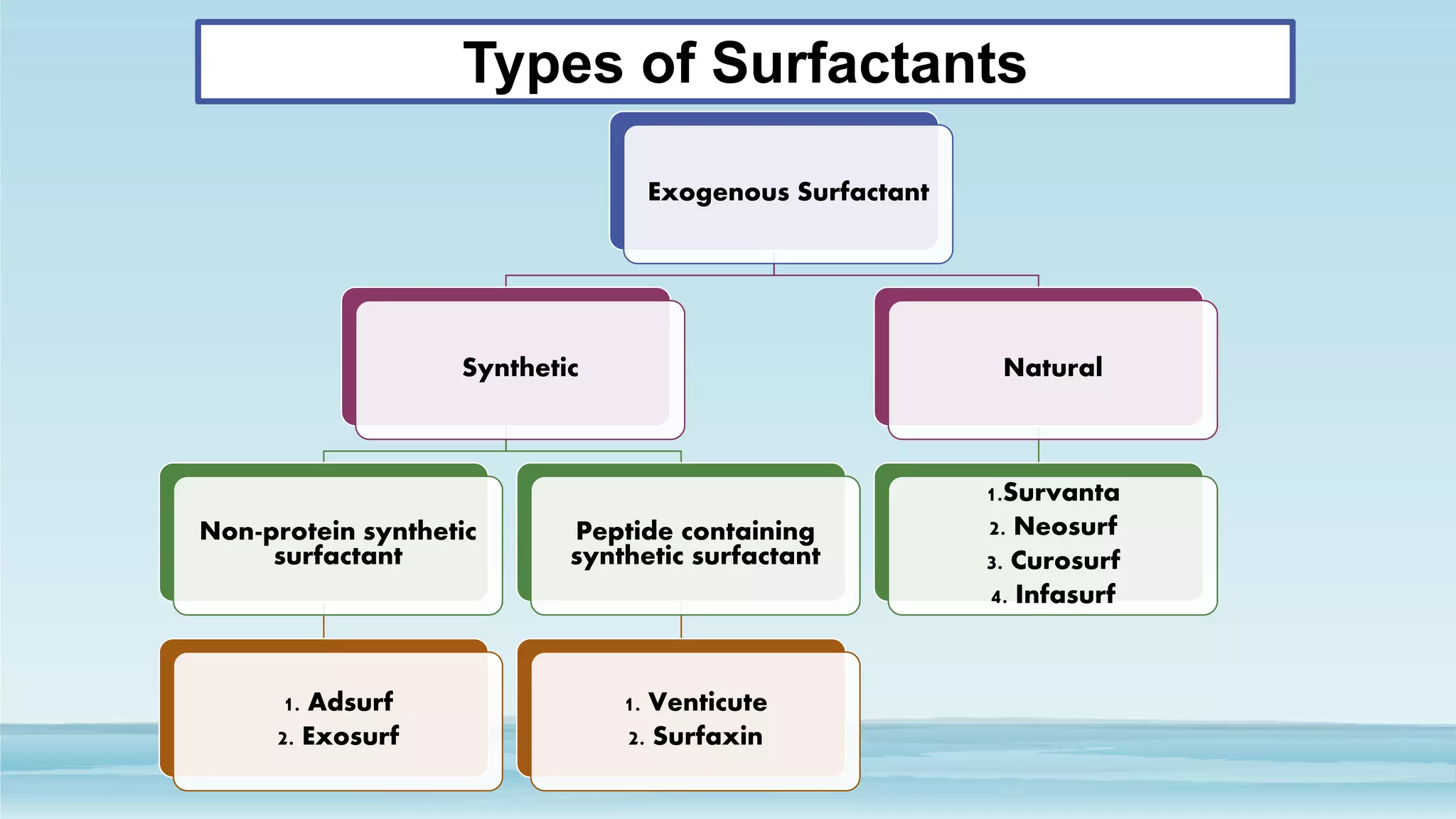 Respiratory physiology & Respiratory Distress syndrome in a newborn. | PPSX