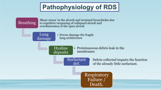 Respiratory physiology & Respiratory Distress syndrome in a newborn. | PPT
