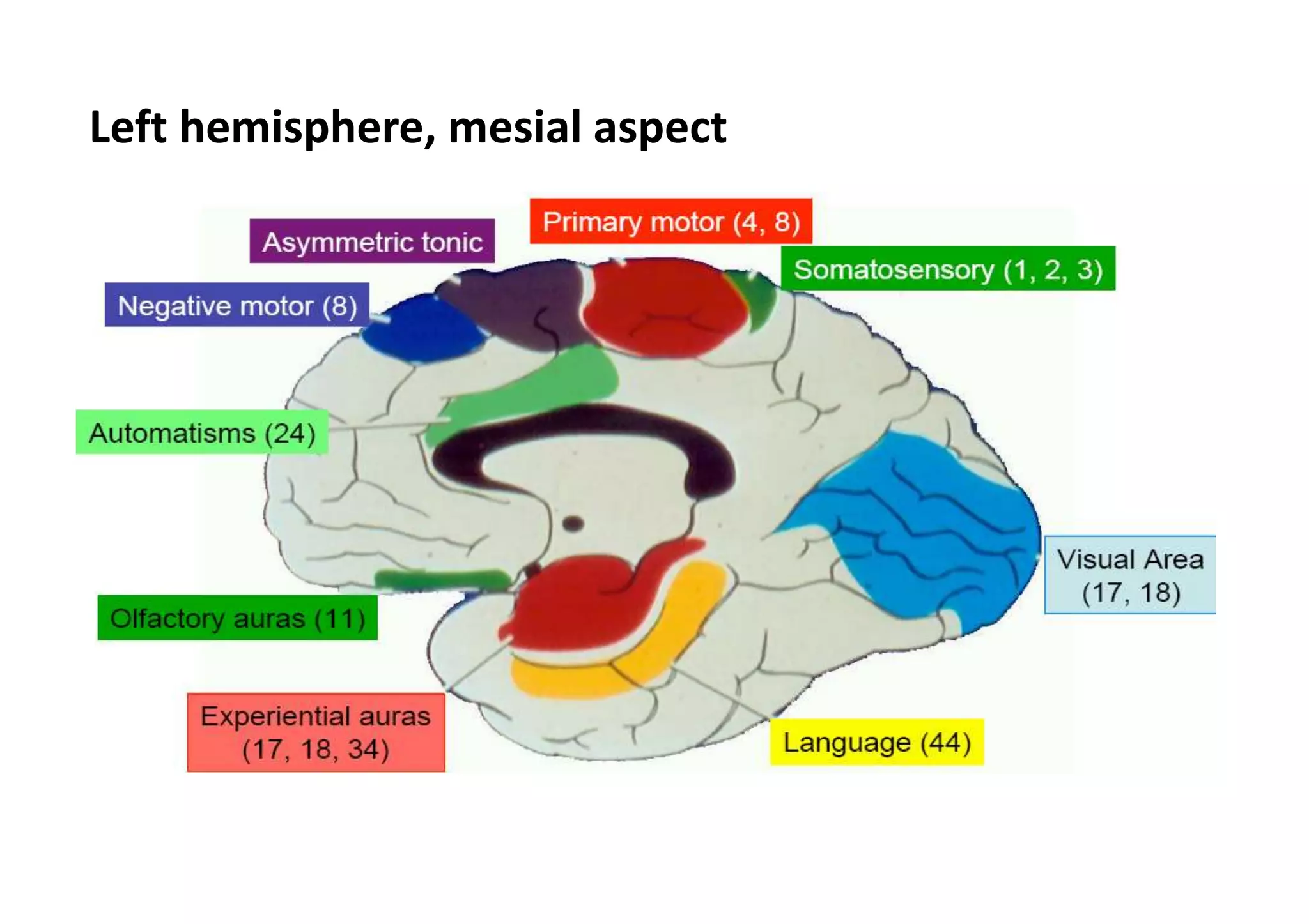 semiological classification of seizure, localisation and lateralisation ...