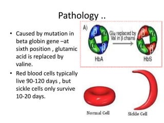Final ppt sickle cell | PPTX