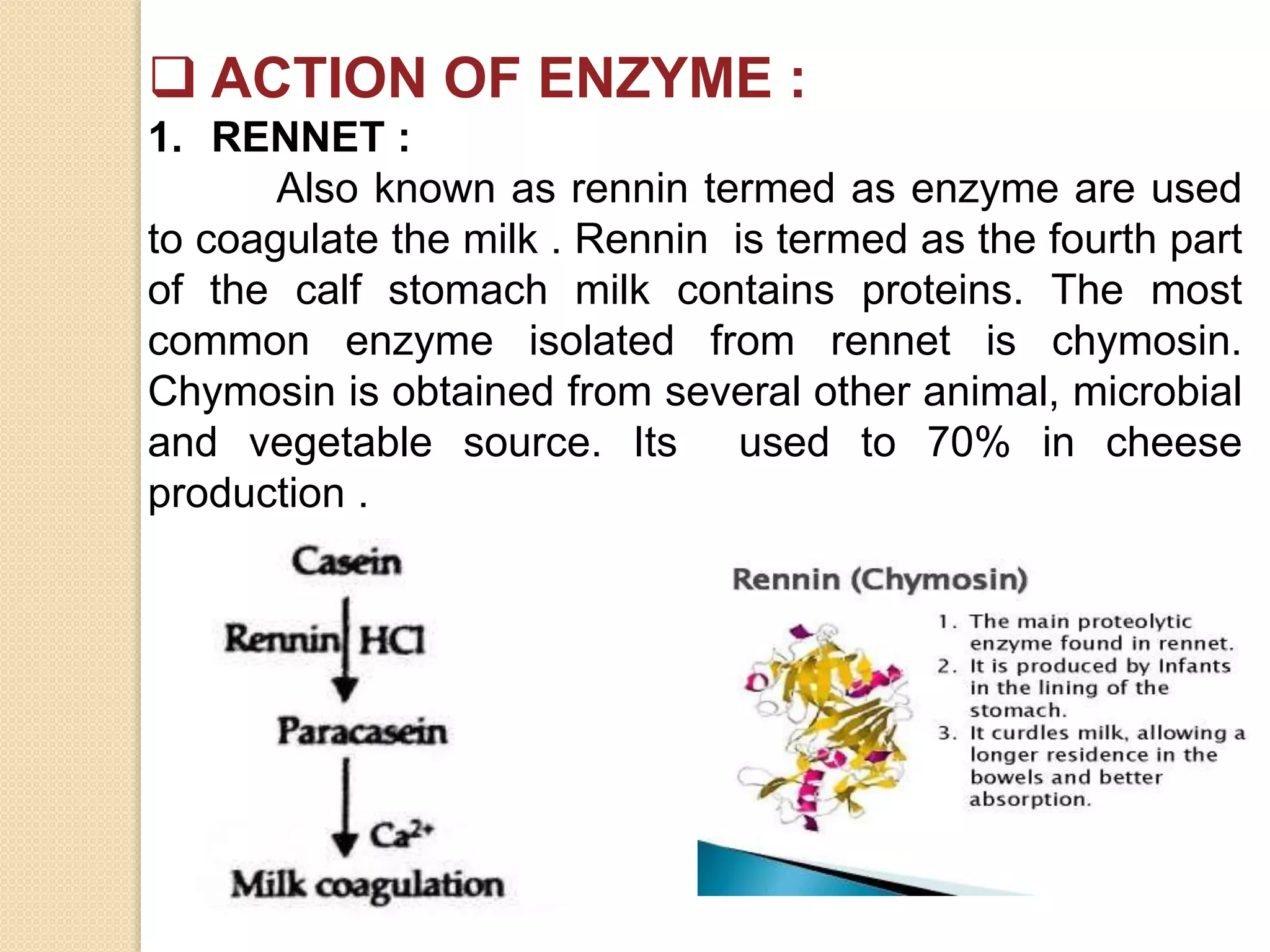 Role of enzymes in dairy processing | PPTX