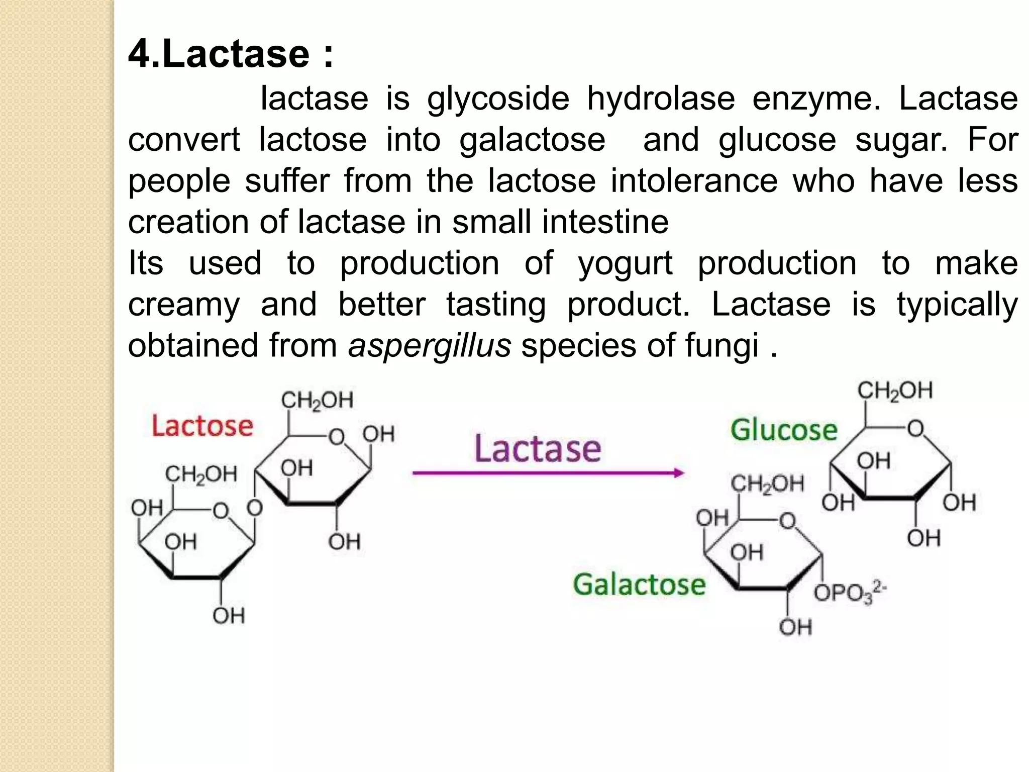 Role of enzymes in dairy processing | PPTX