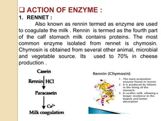 Role of enzymes in dairy processing | PPTX