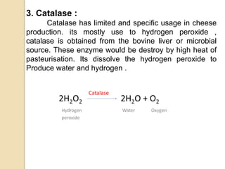 Role of enzymes in dairy processing | PPTX