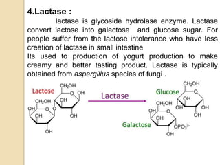 Role of enzymes in dairy processing | PPTX | Agriculture | Industries