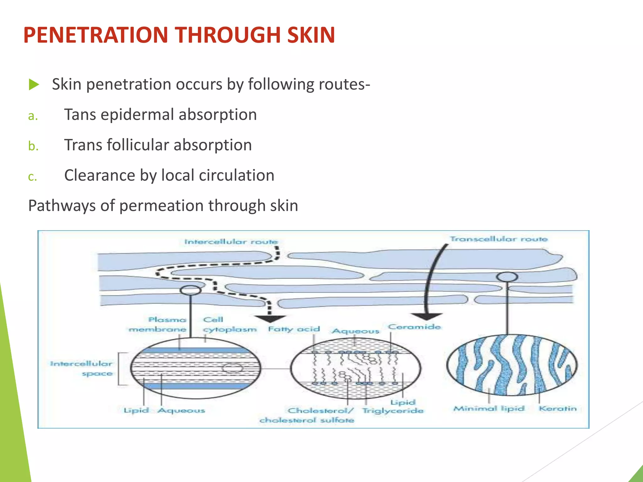 transdermal drug delivery system | PPTX