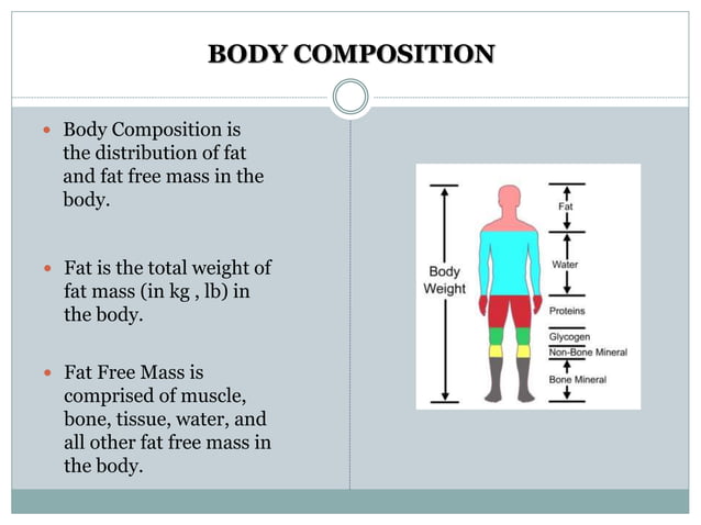 FinalpptUNDERSTANDINGTHEBODYCOMPOSITION.ppsx