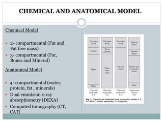FinalpptUNDERSTANDINGTHEBODYCOMPOSITION.ppsx