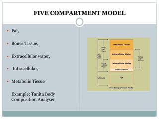 FinalpptUNDERSTANDINGTHEBODYCOMPOSITION.ppsx