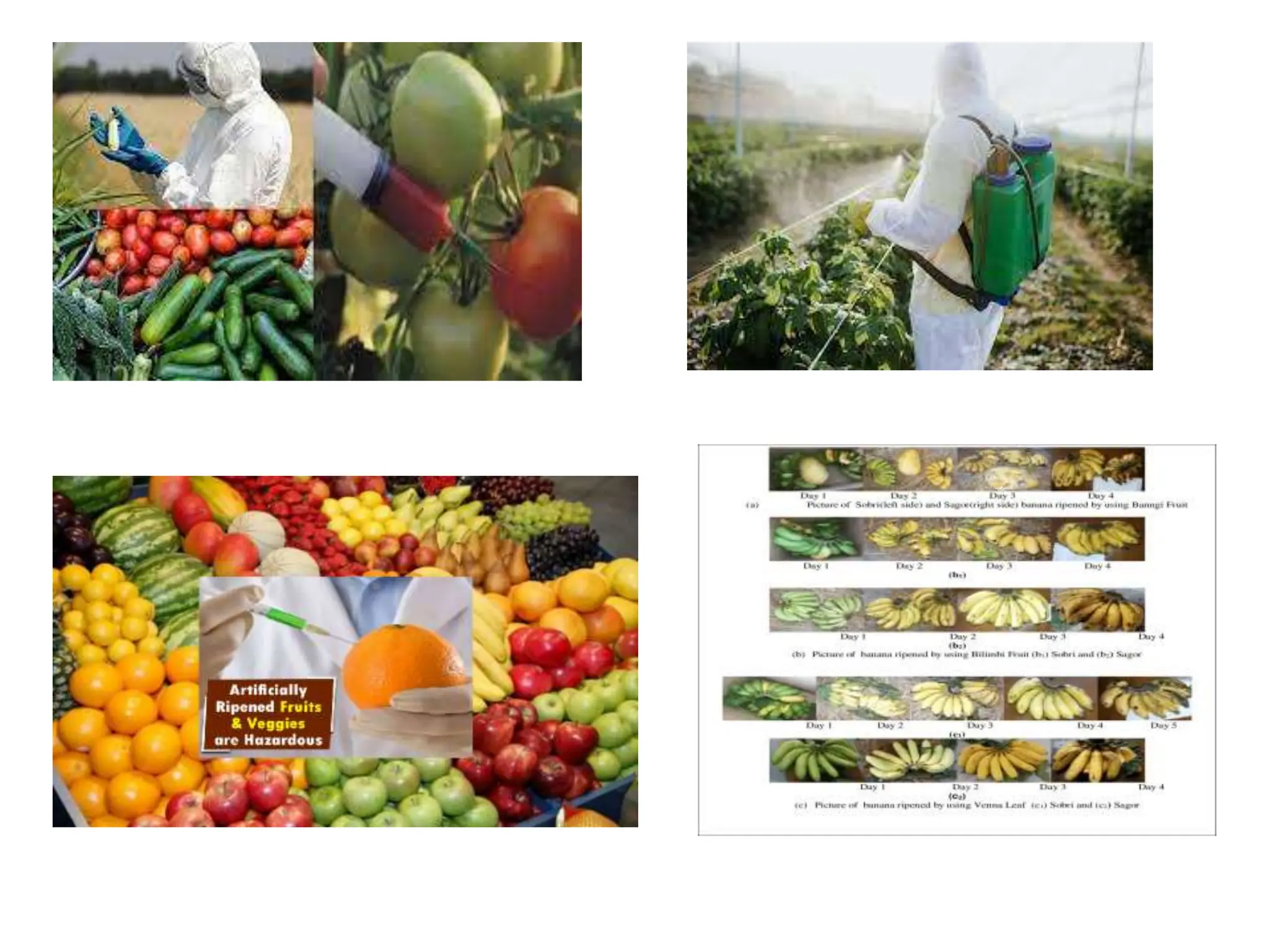 final ppt use of chemicals on fruits and vegetables.pptx