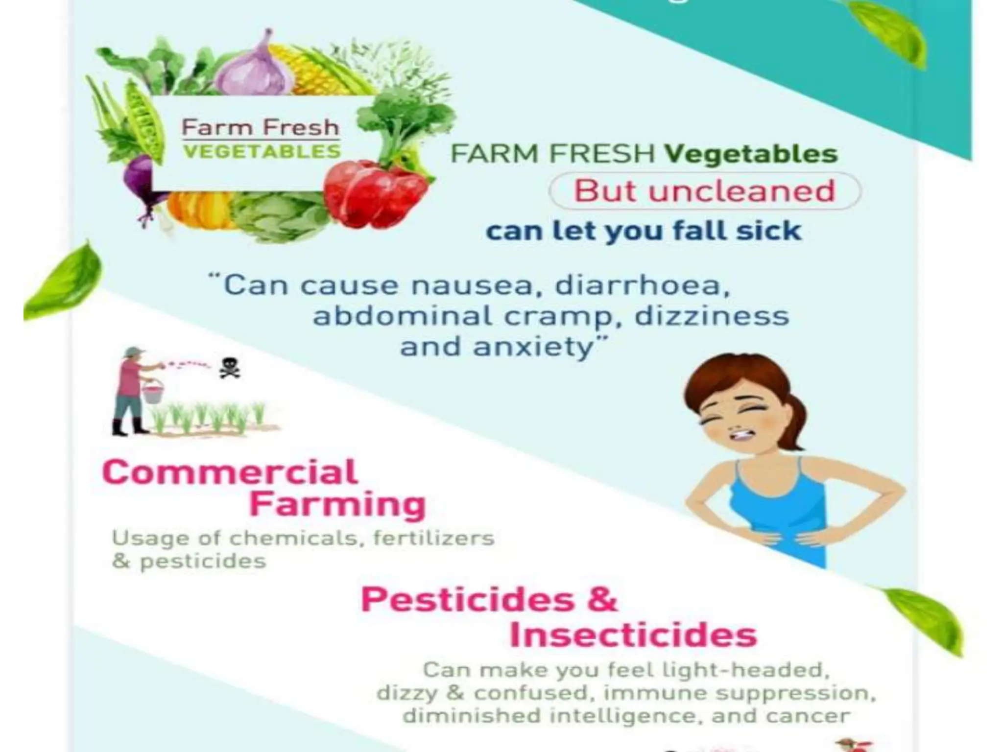 final ppt use of chemicals on fruits and vegetables.pptx