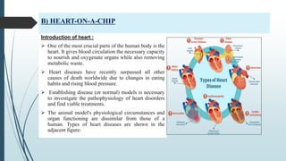 MICROFLUIDIC ORGAN-ON-A-CHIP MODELS:.pptx