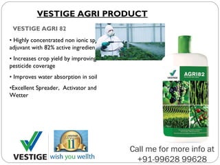 Vestige Business Plan 9176312345 | PPT
