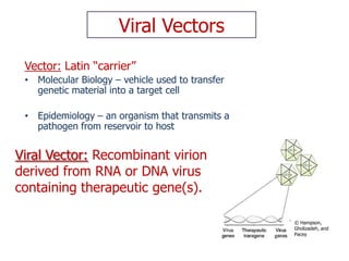 Final+ppt+viral+vectors+ | PPTX