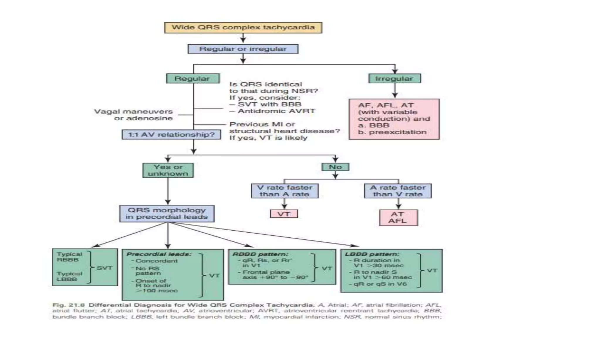 wide complex tachycardia.pptx