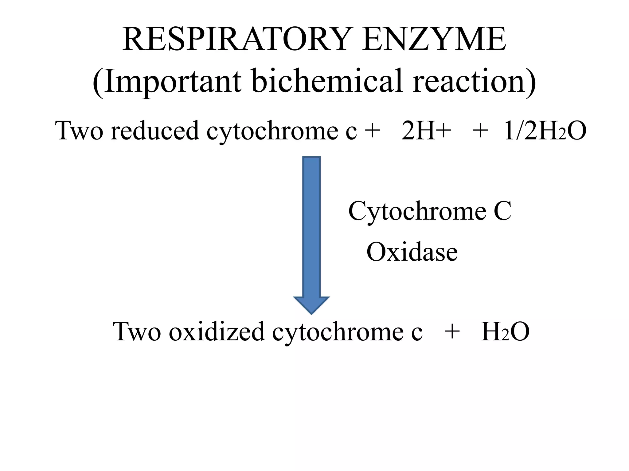 OXIDASE, CATALASE, COAGULASE TESTS.pptx