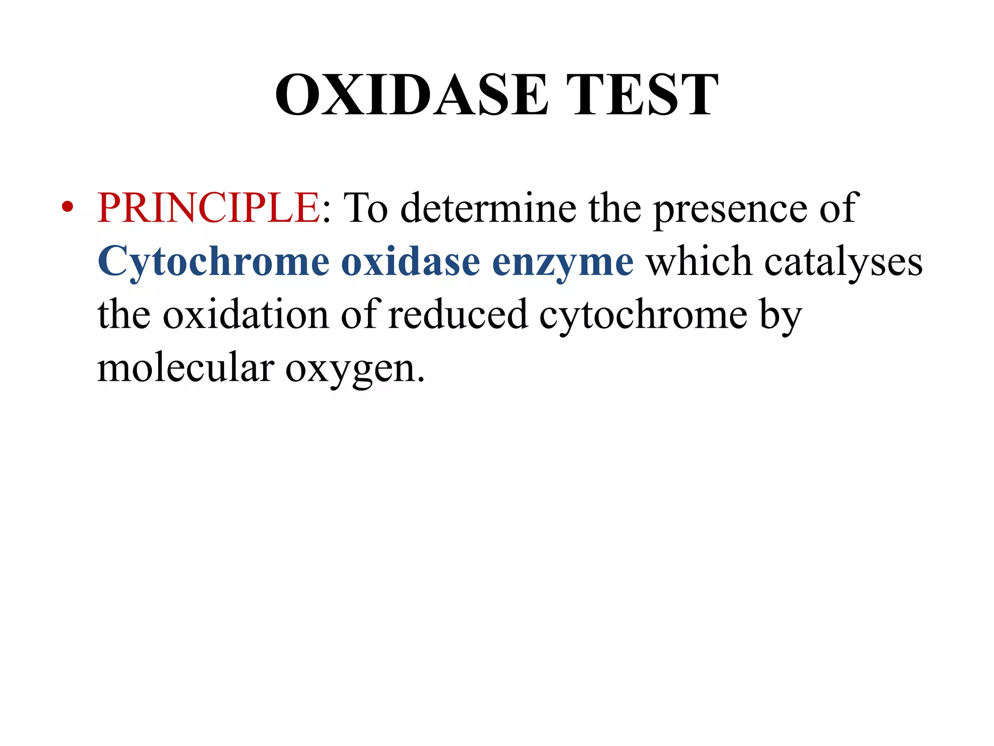 OXIDASE, CATALASE, COAGULASE TESTS.pptx
