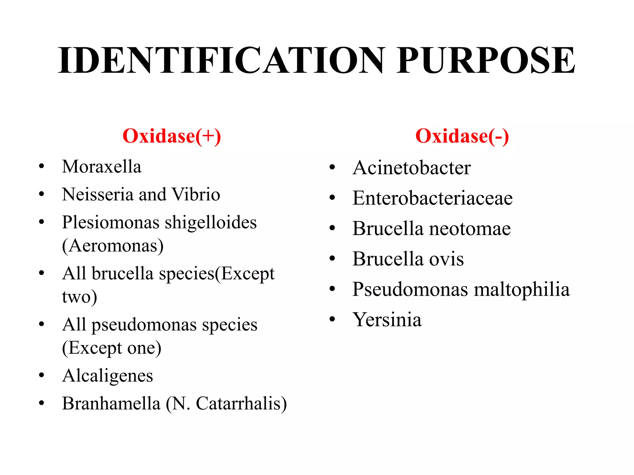 OXIDASE, CATALASE, COAGULASE TESTS.pptx
