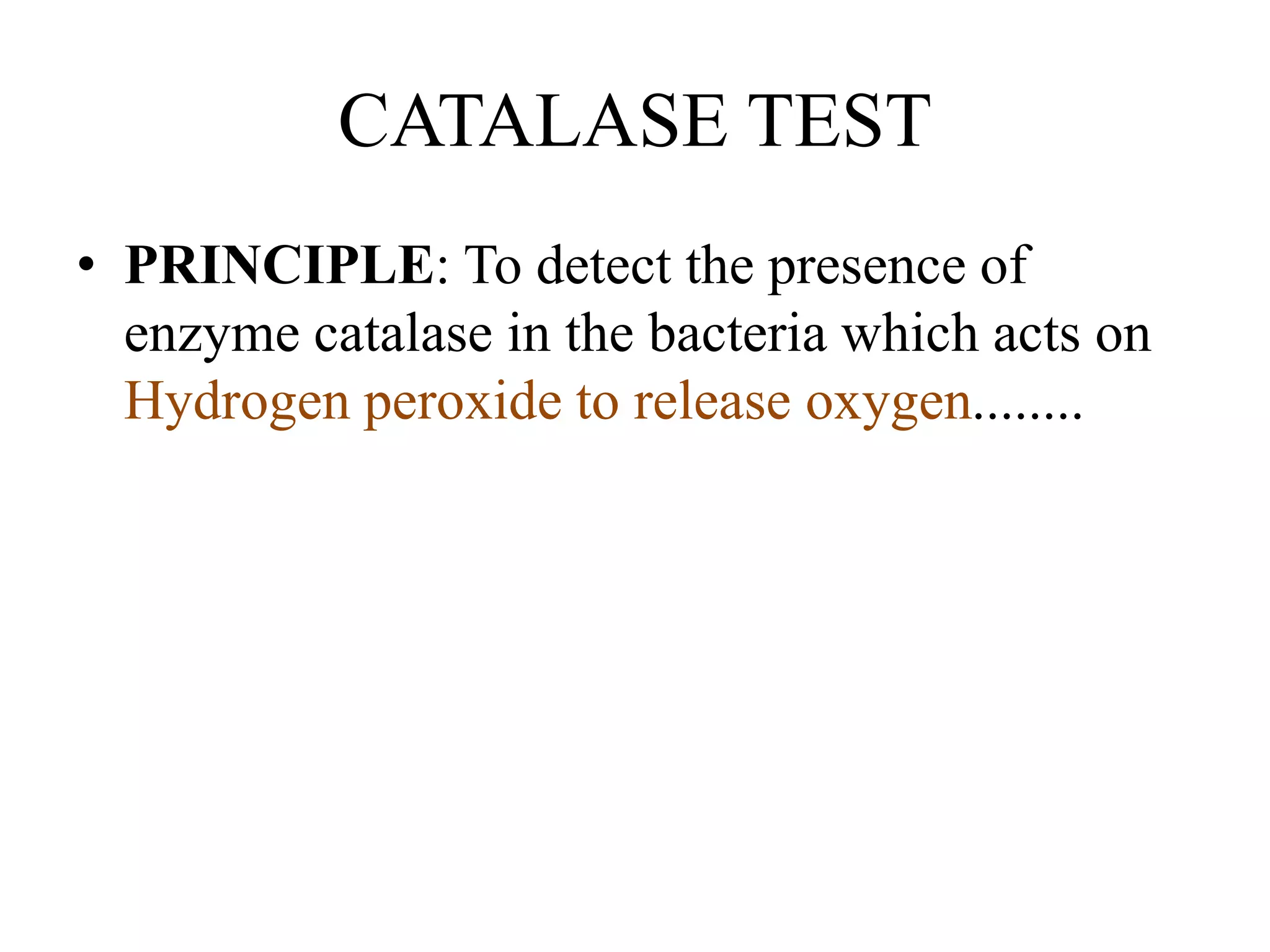 OXIDASE, CATALASE, COAGULASE TESTS.pptx