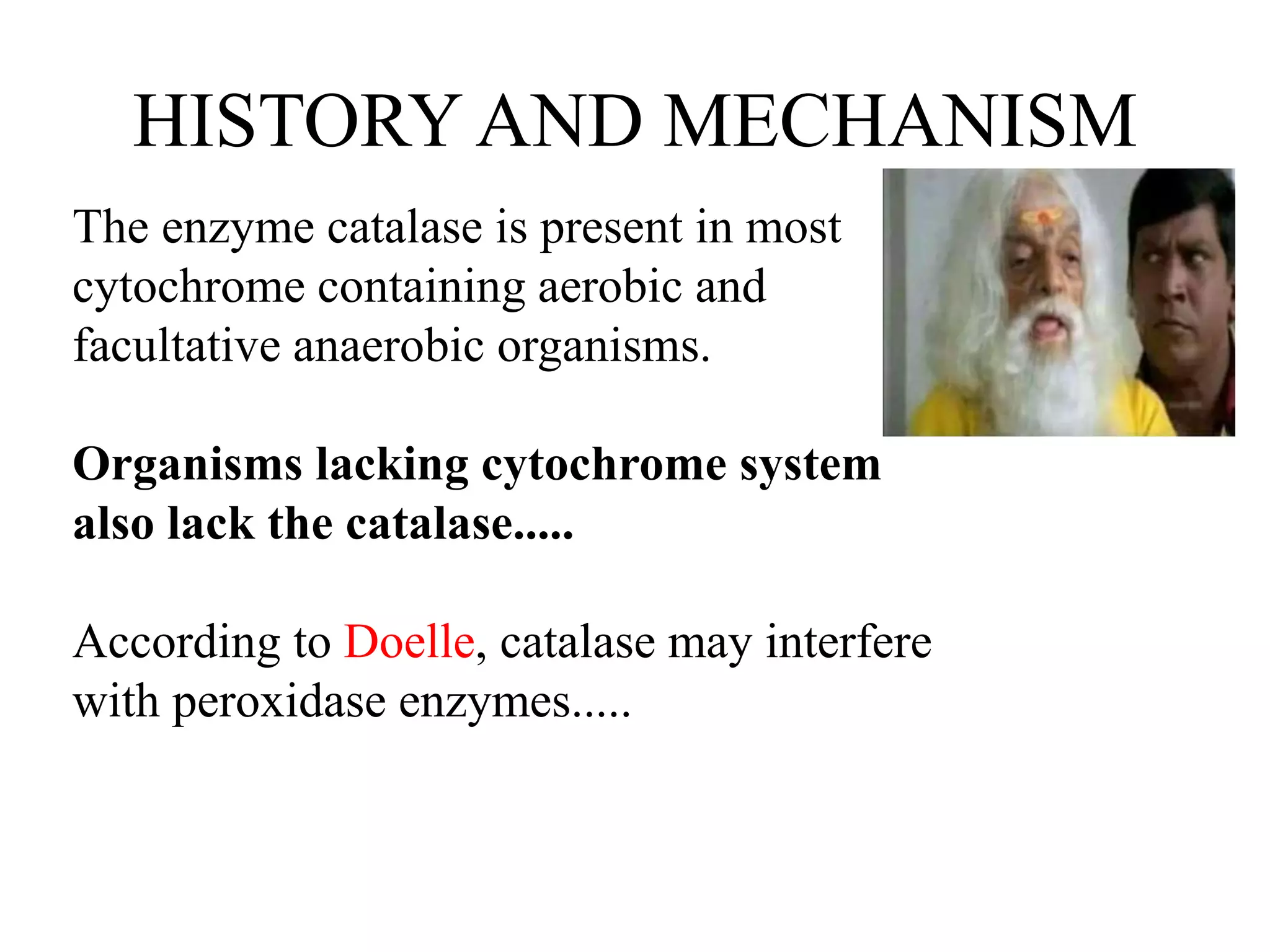 OXIDASE, CATALASE, COAGULASE TESTS.pptx