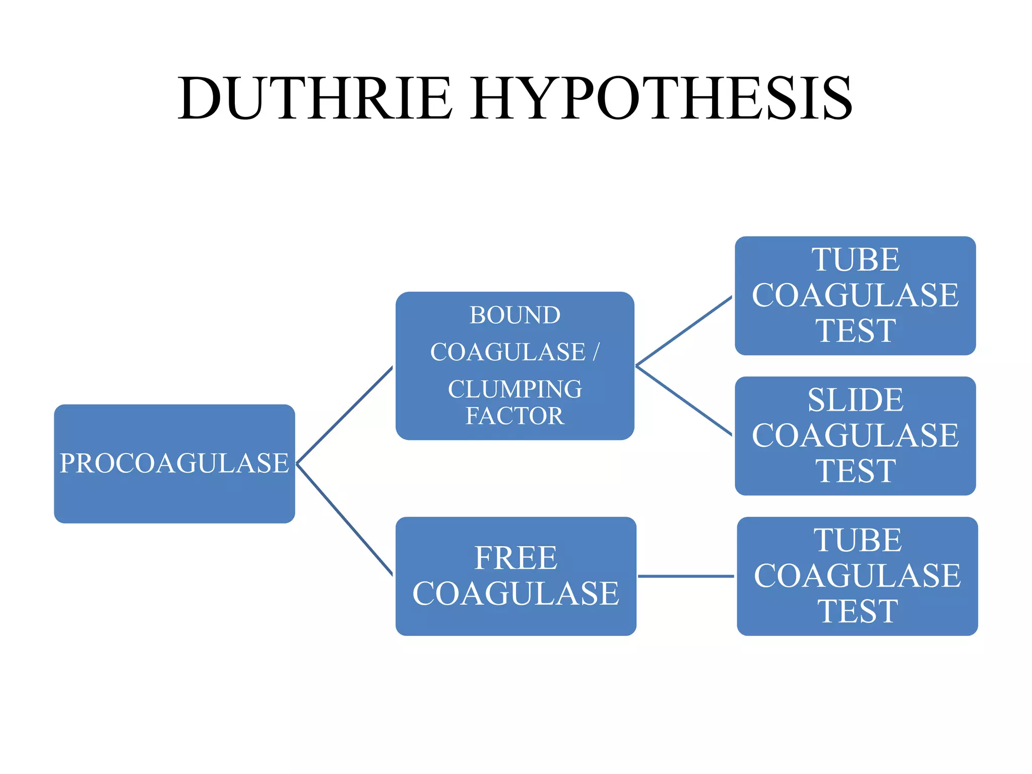 OXIDASE, CATALASE, COAGULASE TESTS.pptx