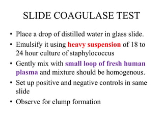 OXIDASE, CATALASE, COAGULASE TESTS.pptx