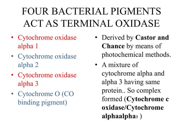 OXIDASE, CATALASE, COAGULASE TESTS.pptx | Chemistry | Science