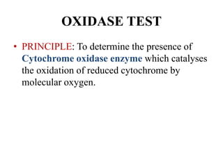 OXIDASE, CATALASE, COAGULASE TESTS.pptx