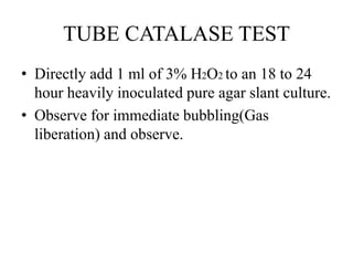 OXIDASE, CATALASE, COAGULASE TESTS.pptx