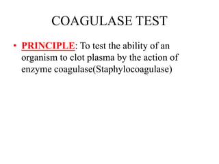 OXIDASE, CATALASE, COAGULASE TESTS.pptx