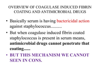 OXIDASE, CATALASE, COAGULASE TESTS.pptx