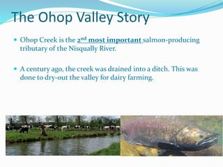 Ohop Tree Planting-middle school | PPT