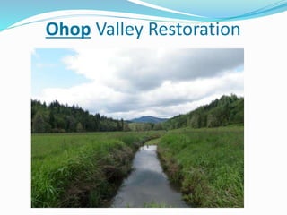 Ohop Tree Planting-middle school | PPT