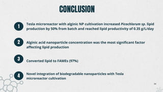 Advanced Bio-Catalytic Microreactor with Nanoparticles to Boost ...