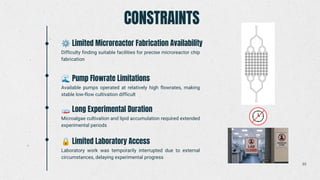 Advanced Bio-Catalytic Microreactor with Nanoparticles to Boost ...