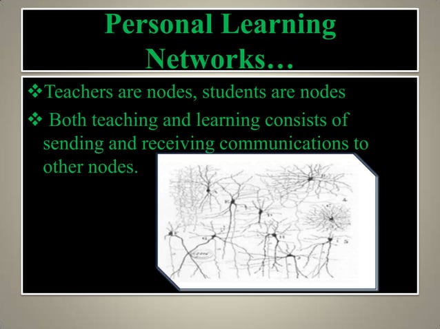 Final presantation Professional Learning Networks | PPTX | Education