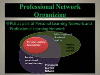 Final presantation Professional Learning Networks | PPTX | Education