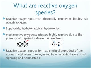 Final presantation mike | PPT