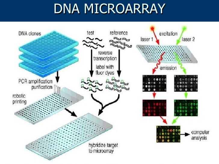 MOLECULAR BIOLOGY TECHNIQUES USED IN ZOONOTIC DISEASE