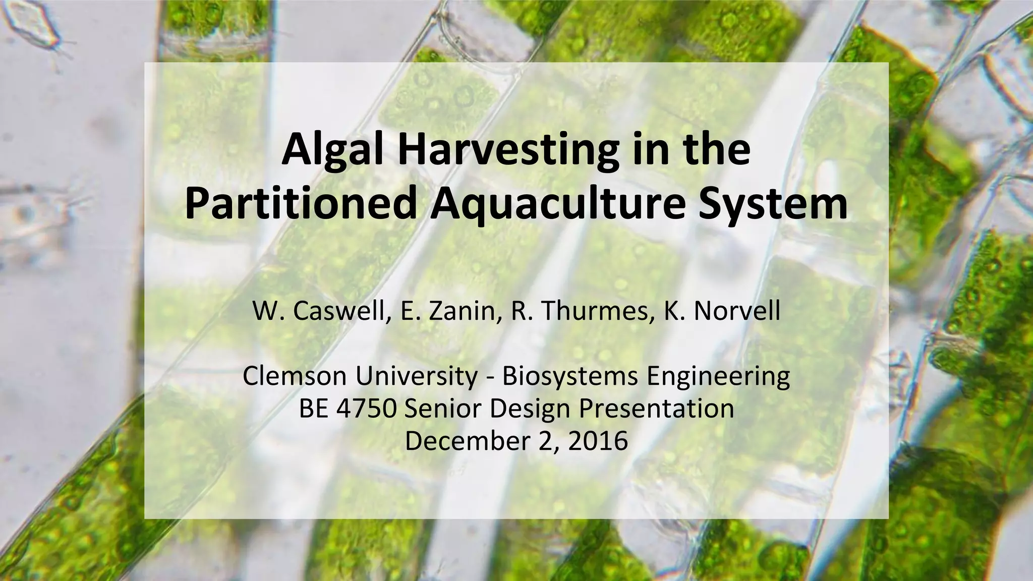 Algal Harvesting in the Partitioned Aquaculture System | PPTX