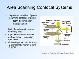 Alternatives to Point-Scan Confocal Microscopy | PPT