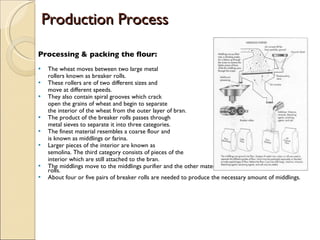 Final Presentation | PPT