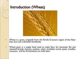 Final Presentation | PPT | Agriculture | Industries