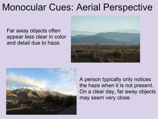 EDU290 Depth Perception | PPT