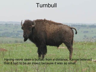 EDU290 Depth Perception | PPT